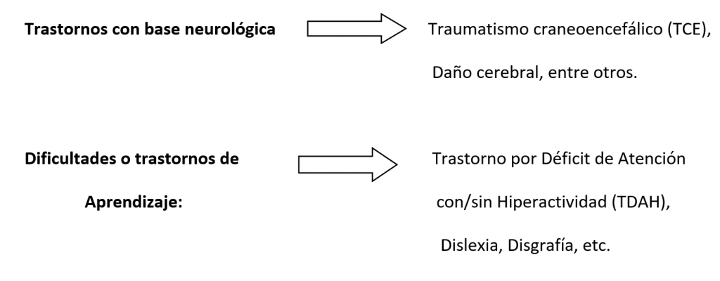 ¿QUÉ ES EVALUACIÓN NEUROPSICOLÓGICA? – Dra. Daniela Barzallo