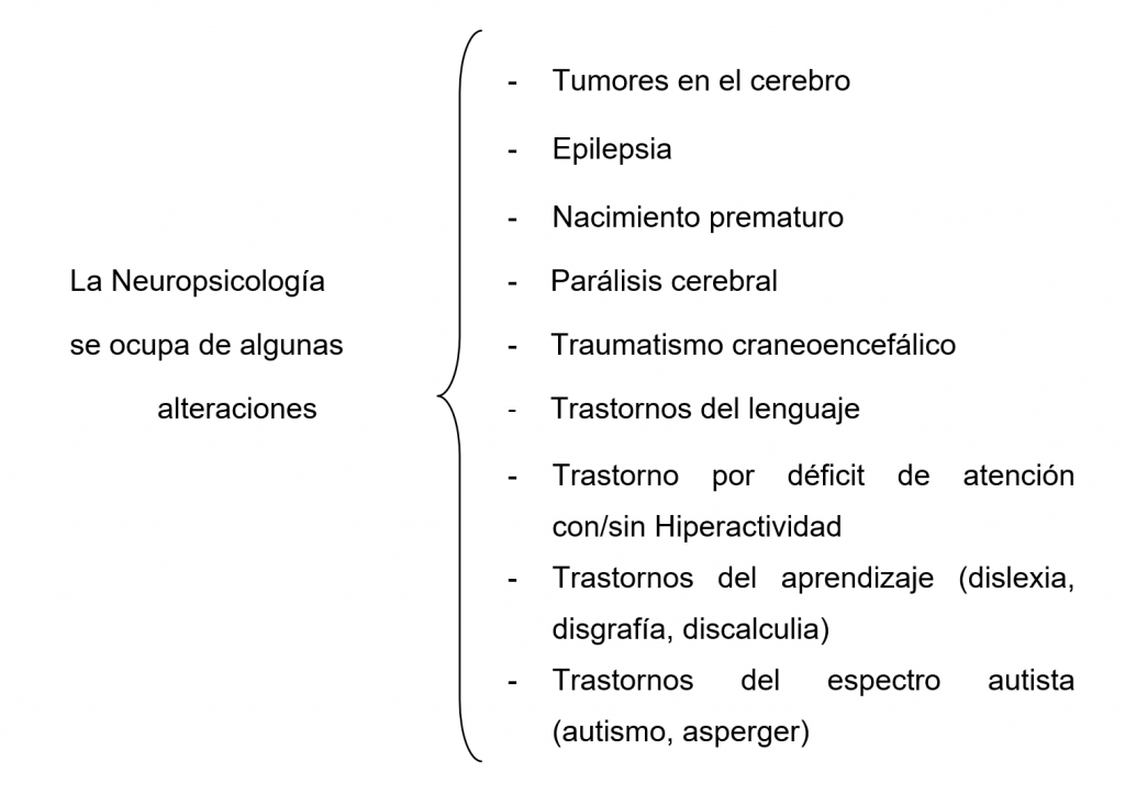 ¿EN QUÉ NOS PUEDE AYUDAR LA NEUROPSICOLOGÍA INFANTIL? – Dra. Daniela ...