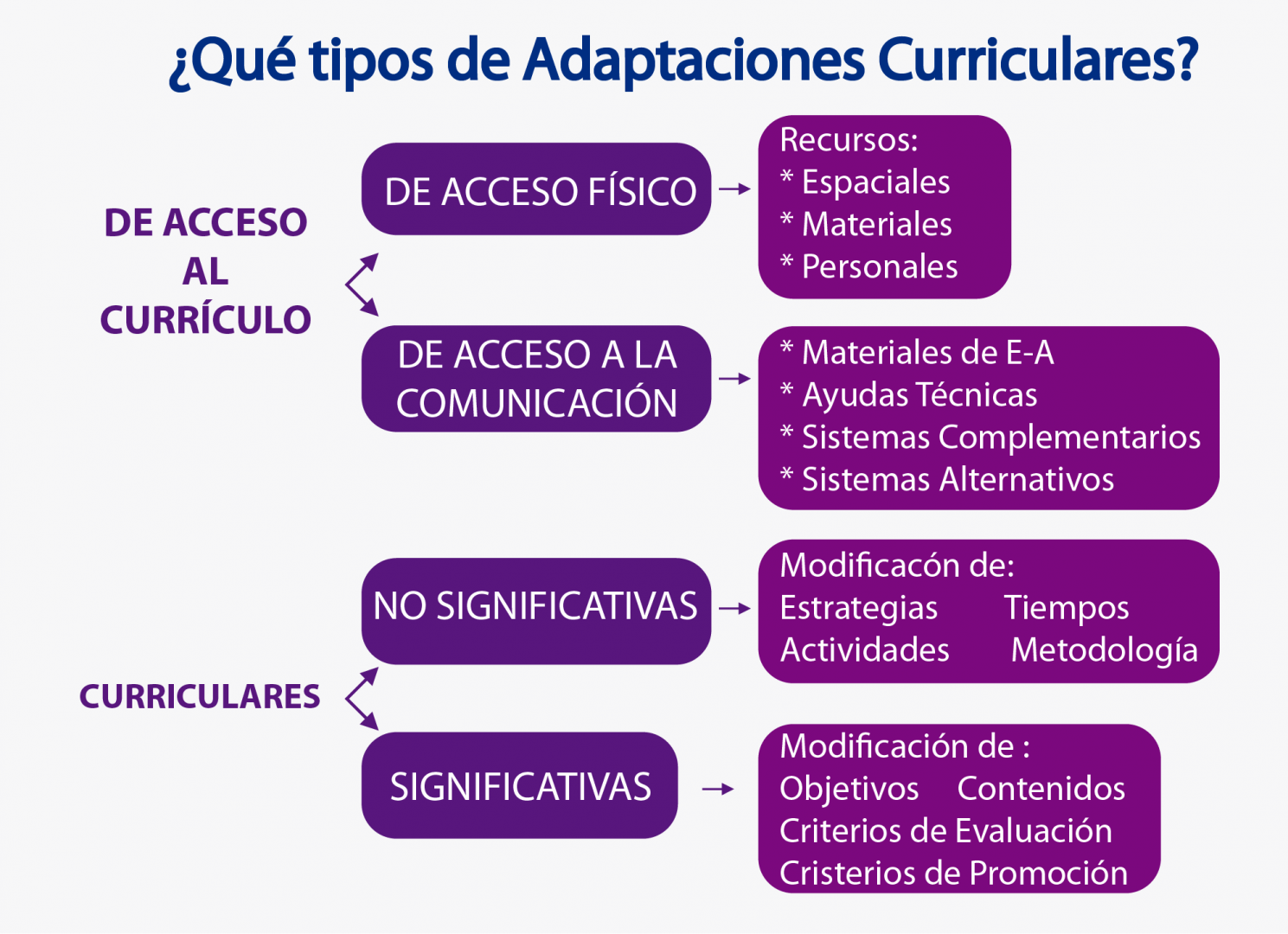 Adaptaciones Curriculares para Atender a las Necesidades Educativas ...
